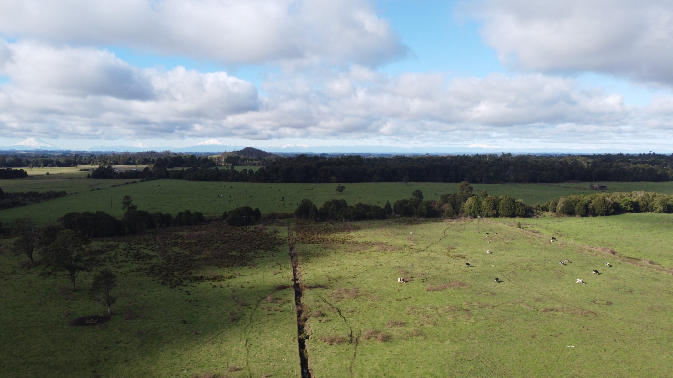 Fundo Los Muermos - Visualiza