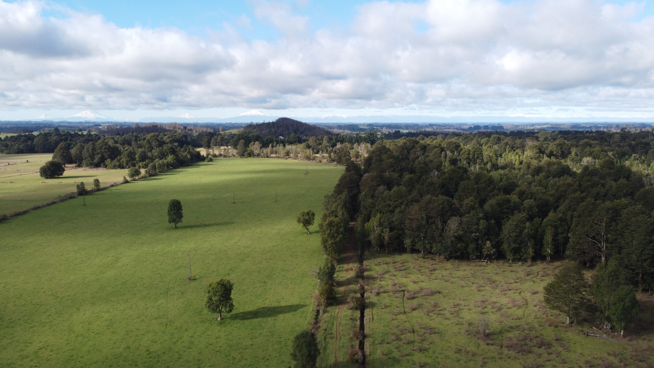 Fundo Los Muermos - Visualiza