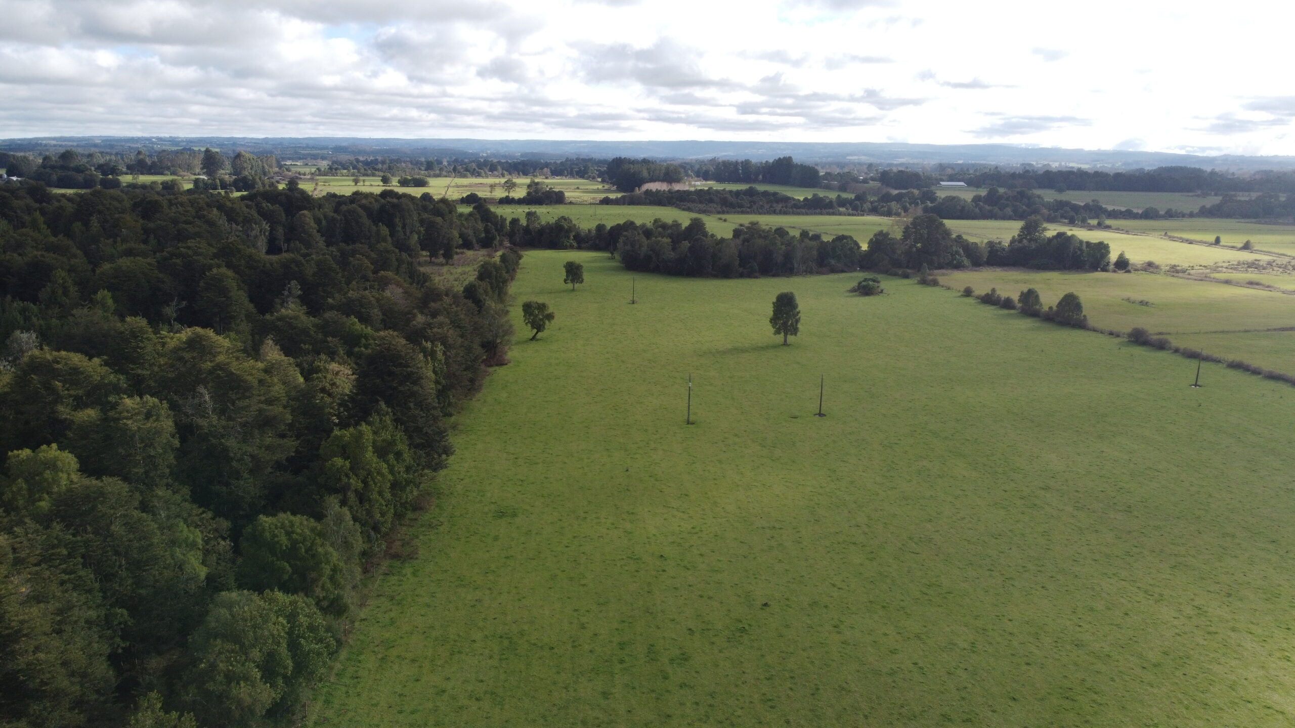 Fundo Los Muermos - Visualiza