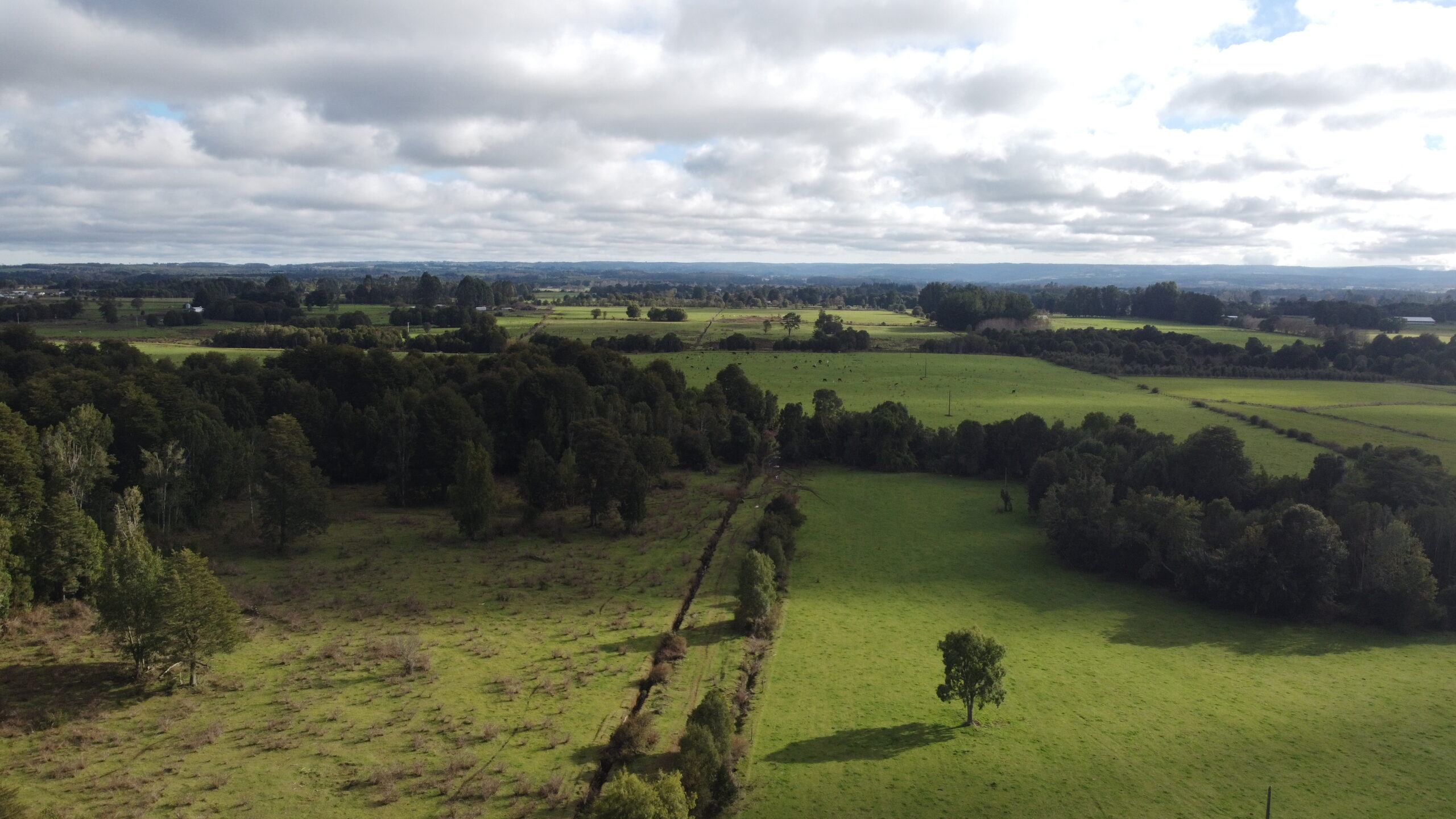 Fundo Los Muermos - Visualiza