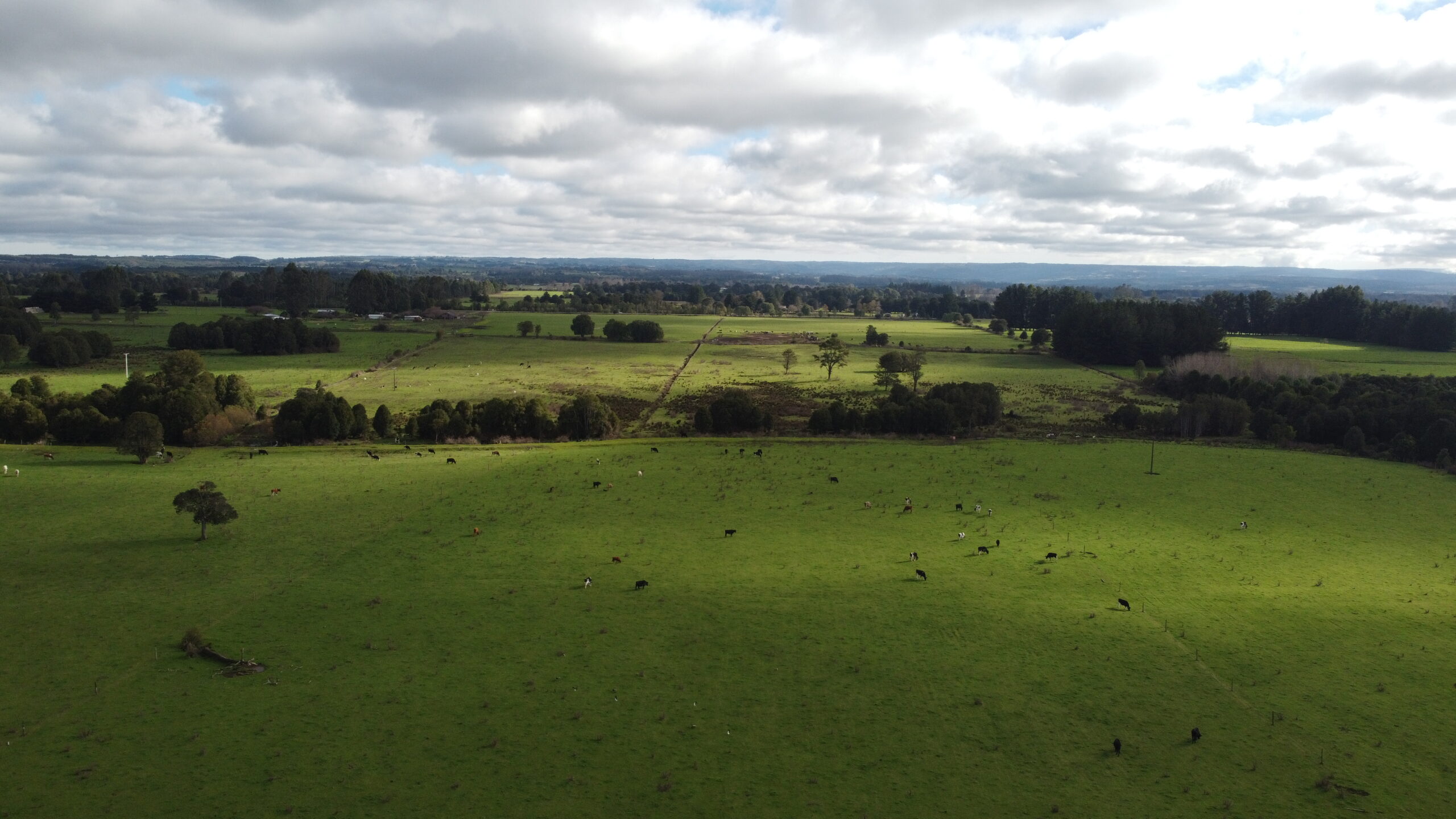 Fundo Los Muermos - Visualiza