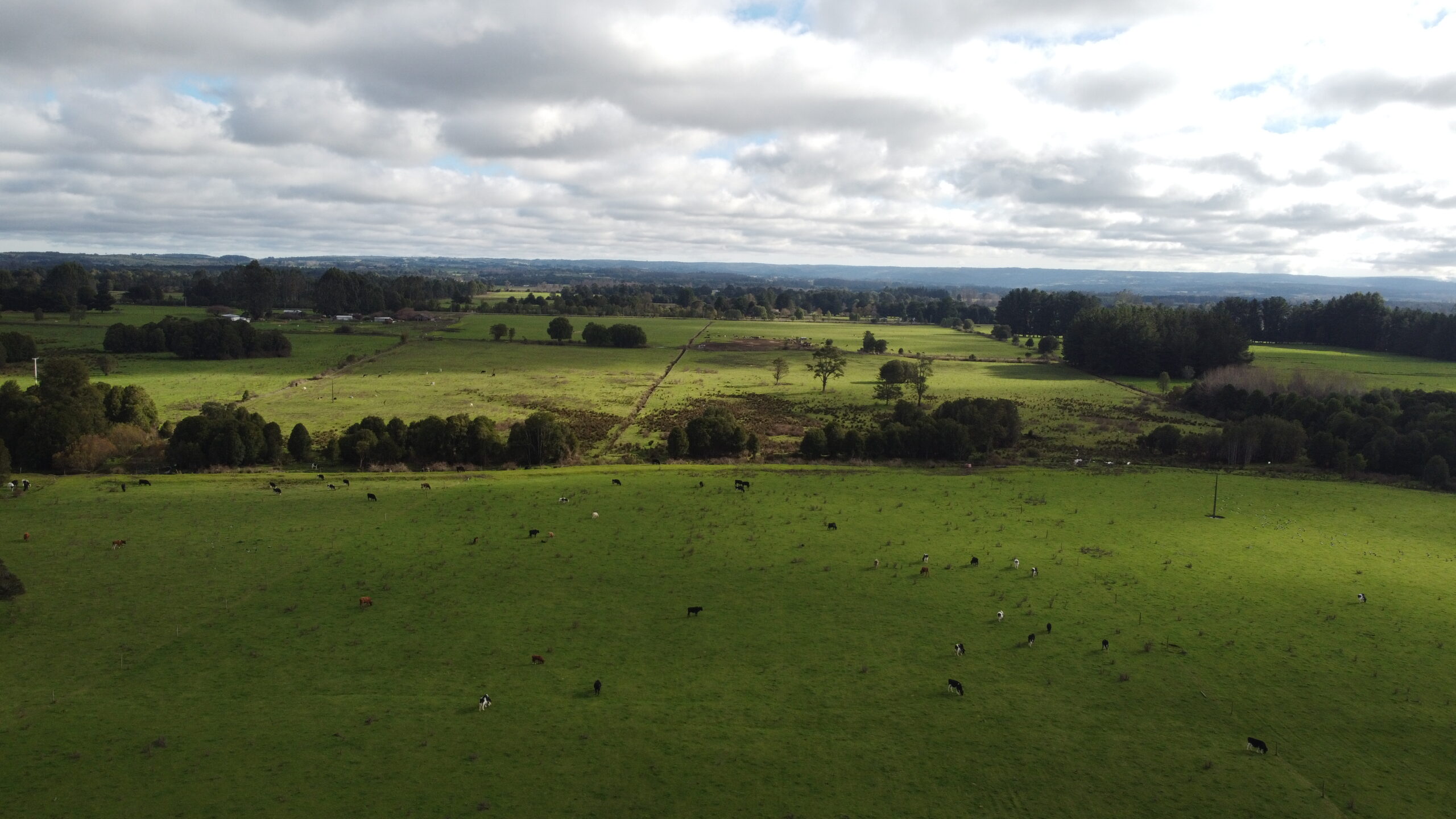 Fundo Los Muermos - Visualiza